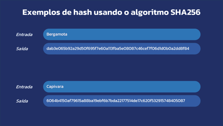 Entendendo Funções Hash: O que são e como funcionam